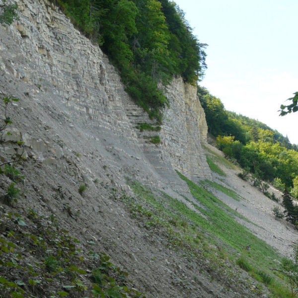 Geokomposit für Erosionsschutz - SINMAT - SINECO - Polymer / für den ...