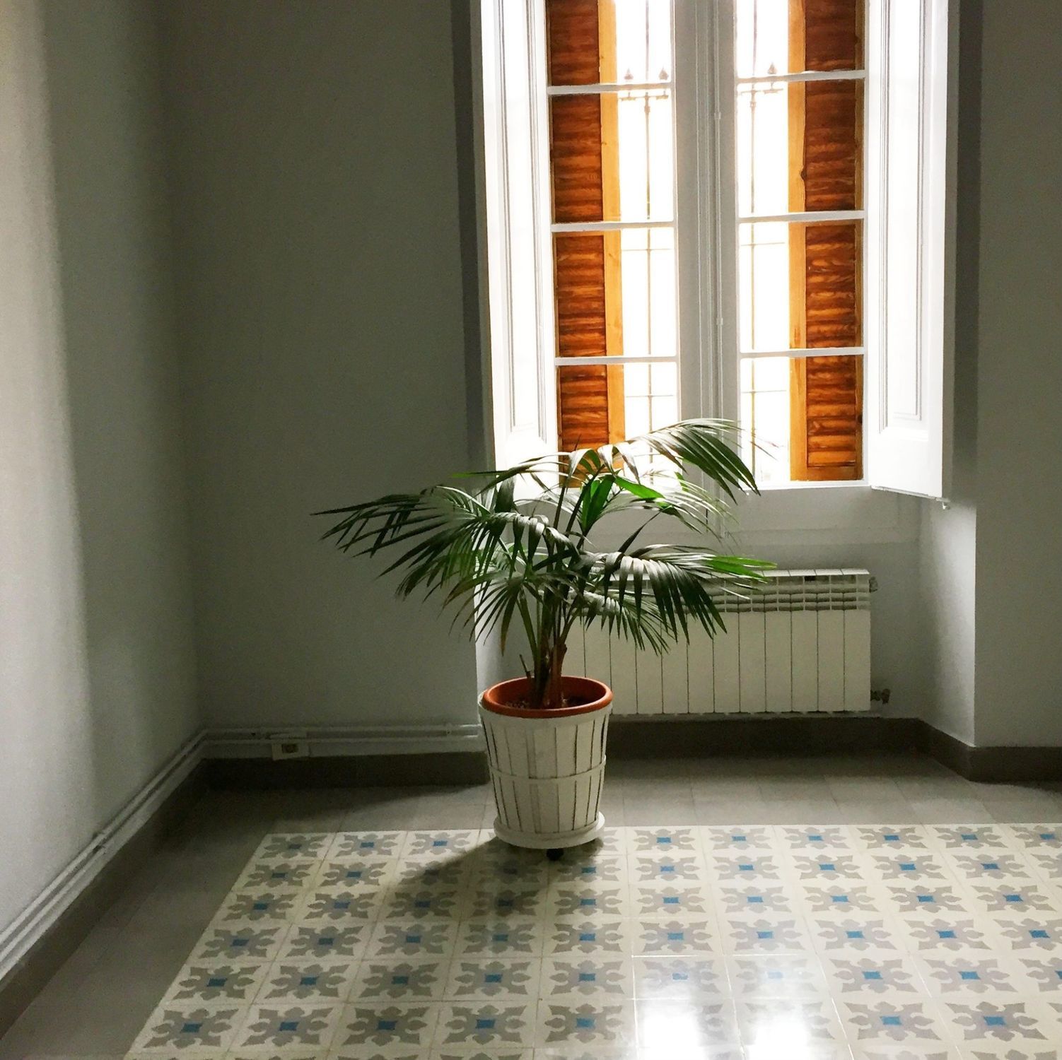 Zement-Zementfliese - 1 - Mosaics Torra | Cement Tiles - matt / für den ...