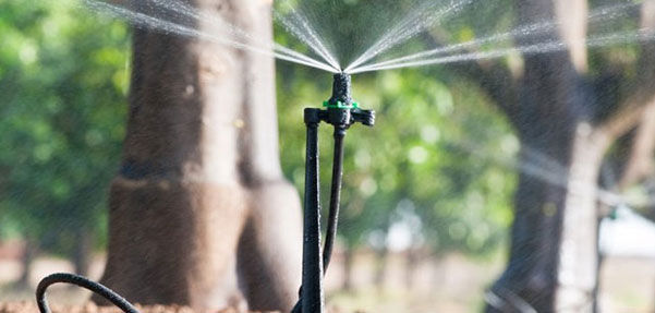 Mikrosprenger mit Durchsatzregelung - JET+ AND JFR JET - Rivulis - drehbar