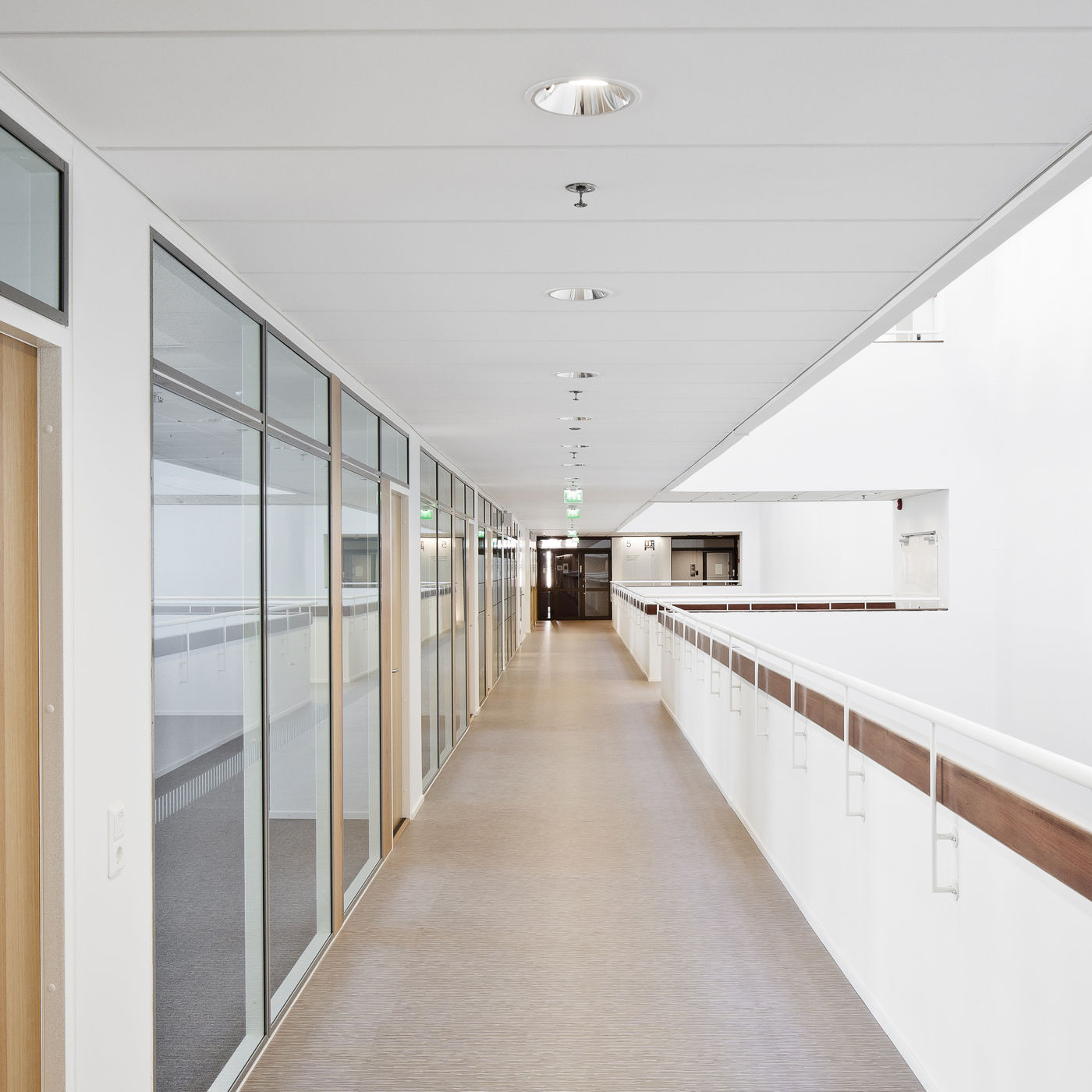 Metall-Deckenunterkonstruktion - Maxispan T24 A, E - ROCKFON - aus ...