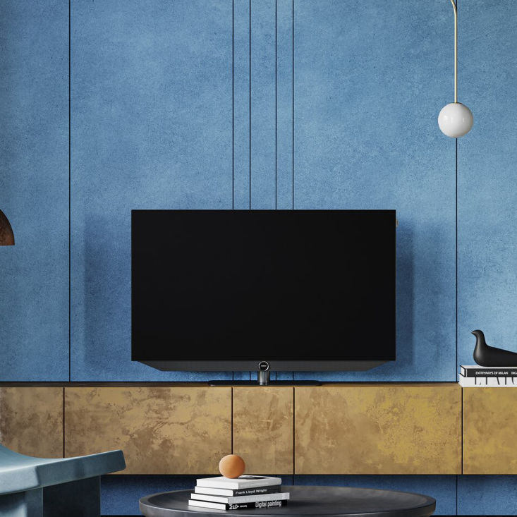 UHD-Fernseher - BILD V.48 DR+ - Loewe - OLED / 48"