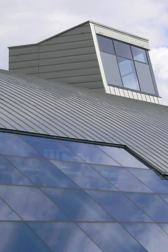 Zinkdach - NEDZINK NOVA PRO-TEC - NedZink - wasserdicht / Well