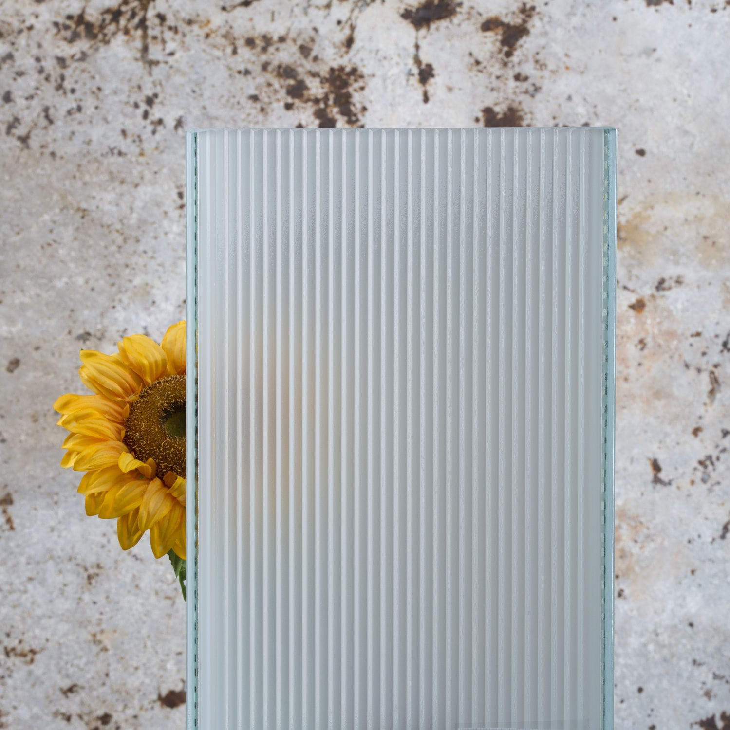 Lichtdurchlässiges Profilglas - LINIT EcoGlass, prismasolar, S ...