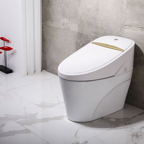 Smartes WC - TA-550ZA - Zhejiang Tejieer intelligent sanitary ware co ...