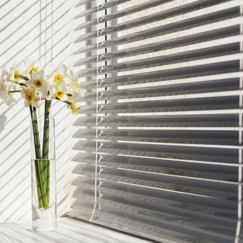 Jalousie-Rollo - FILM - Pachers Blinding Trading LLC - für Fenster ...