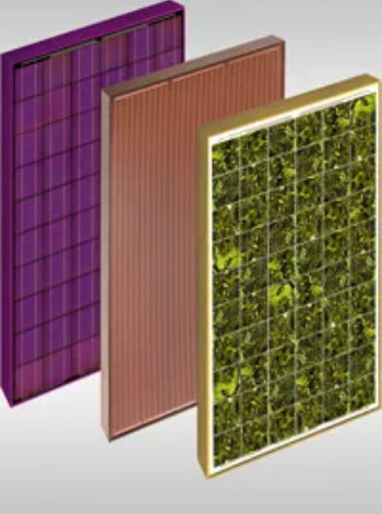 Polykristallines Photovoltaik-Modul - SPECTRUM - BISOL - farbig ...