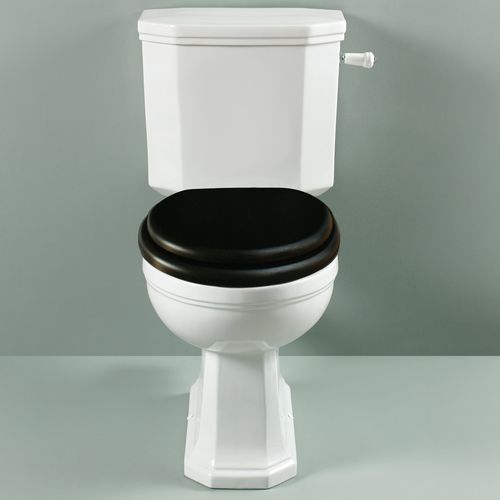 Monoblock-WC - 240.09900 & 240.09960 - Aqua Prestige - Porzellan / mit ...